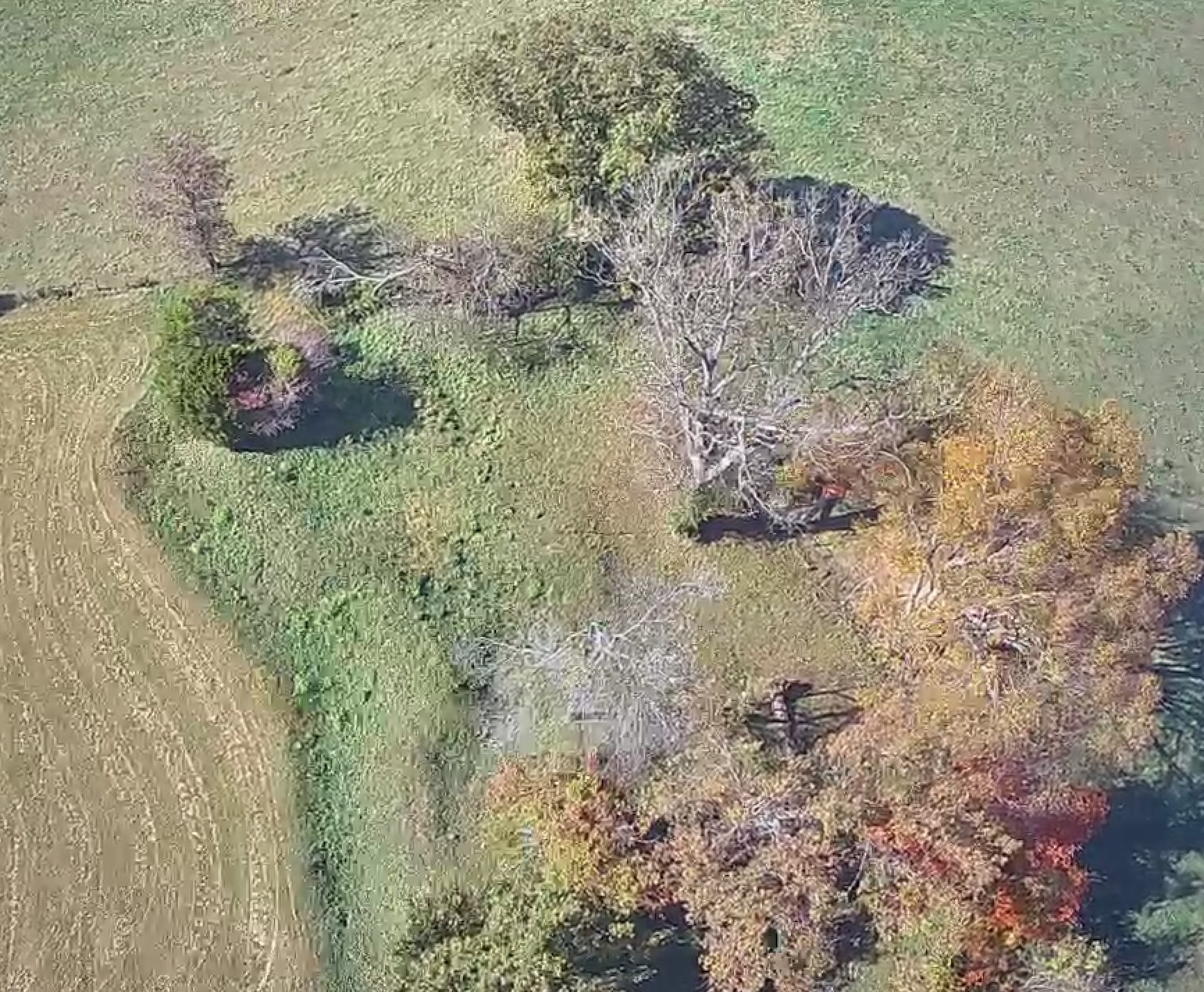 Discovering Munfordville - Civil War Monitor