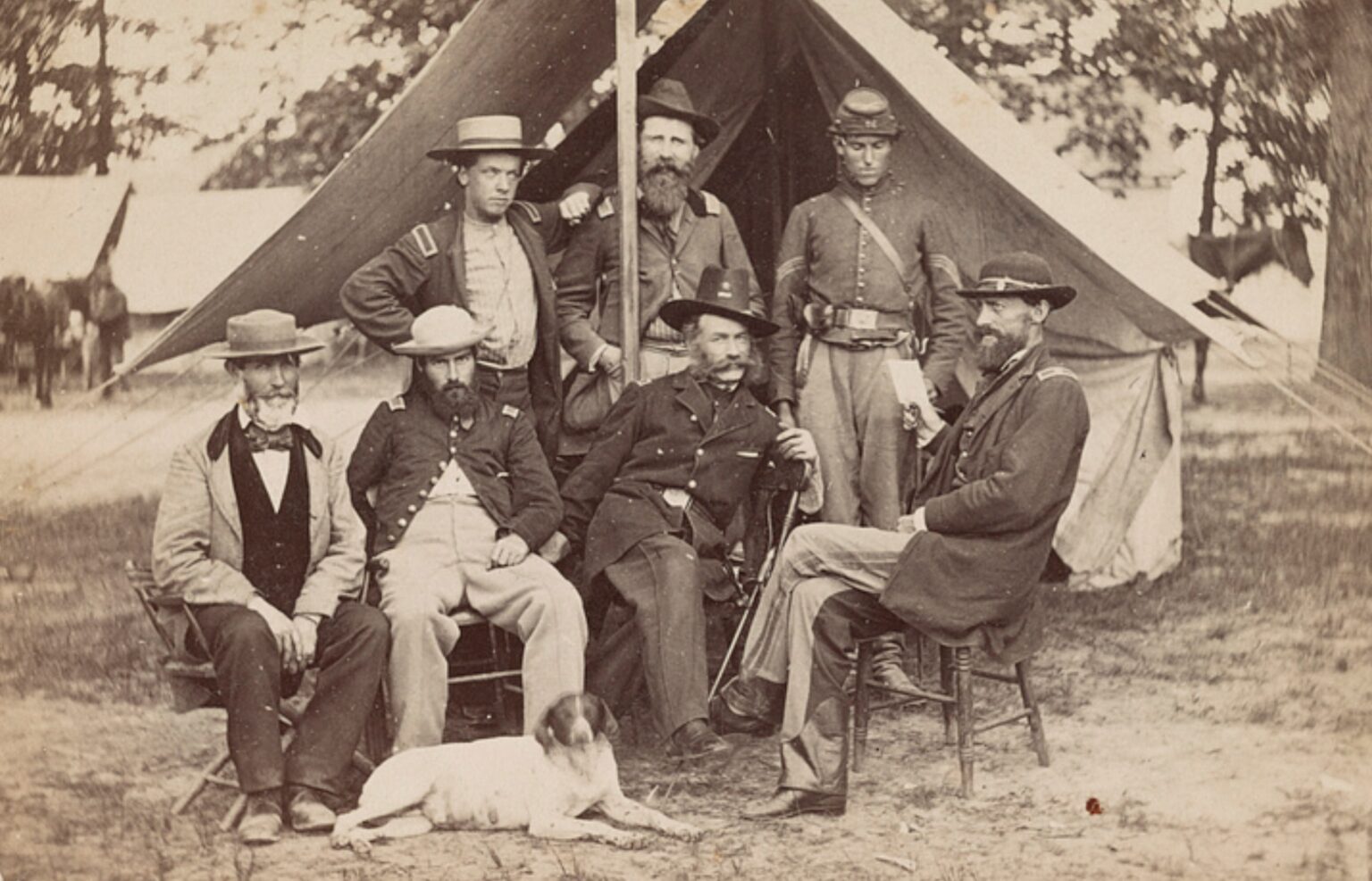 The Dog of the Regiment - Civil War Monitor