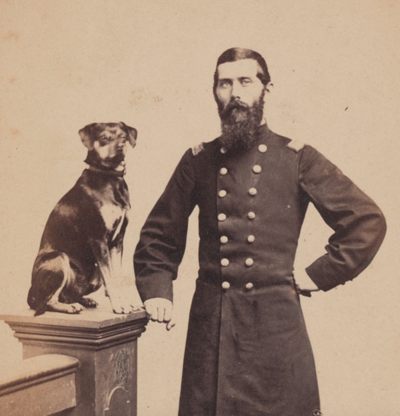 The Dog of the Regiment - Civil War Monitor