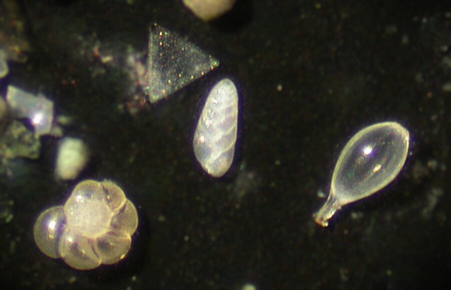 CSS Hunley Reconsidered - Civil War Monitor